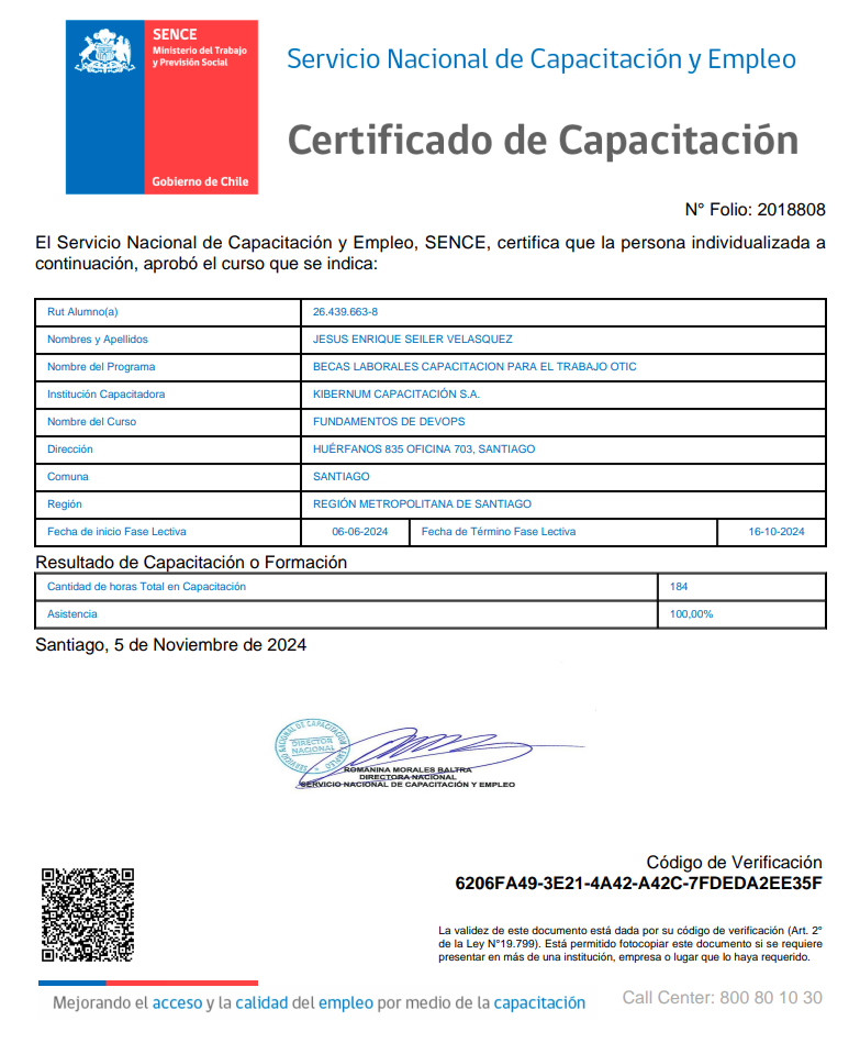 Curriculo Jesús Seiler